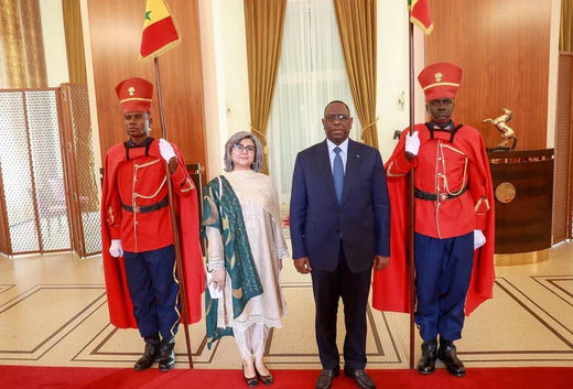Ambassador Saima Sayed - A Shooting Star Aimed For Greater Heights ...